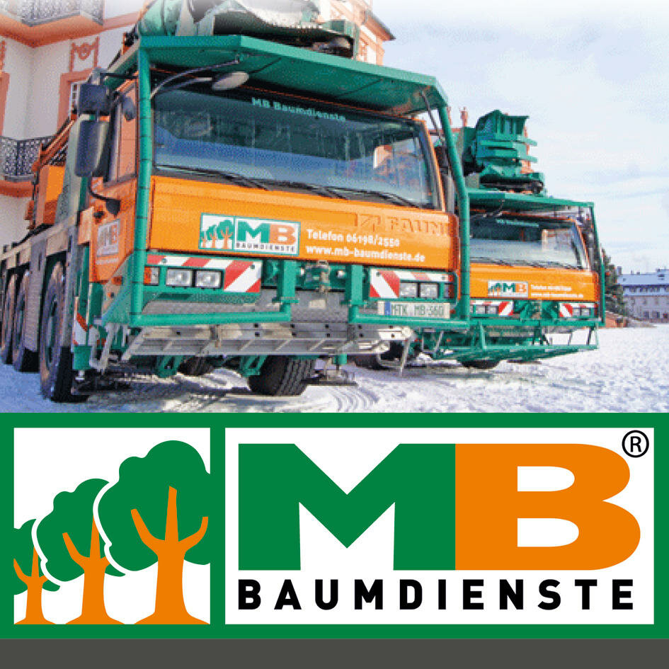 Şehir planlama Mb Baumdienste GmbH, Hesse, foto