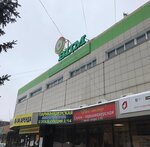 Insurance Osago (Gorkogo Street No:65), sigorta şirketleri  Tolyatti'den (Togliatti'den)