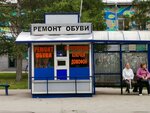 Ремонт обуви (Novosibirsk, Sovetskiy City Administrative District, Akademgorodok Microdistrict, Geroev Truda Street), ayakkabı tamiri  Novosibirsk'ten
