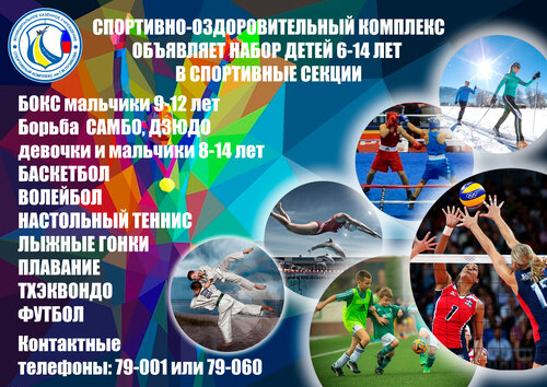 Çok amaçlı spor tesisleri Sports Complex named after Grigory Mikhailovich Puzikov, Sim, foto