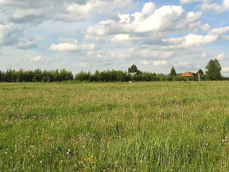 Yazlık yerleşim Дмитровские Дачи, Moskova ve Moskovskaya oblastı, foto