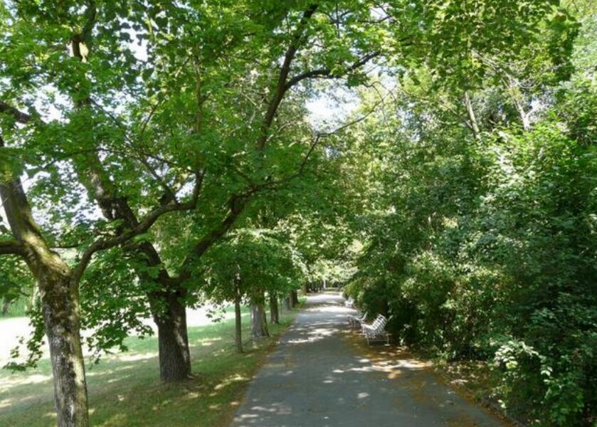 Engellilere yönelik ekipmanlar ve rehabilitasyon ürünleri Domov pro seniory Skalice, Güney Moravya Bölgesi, foto