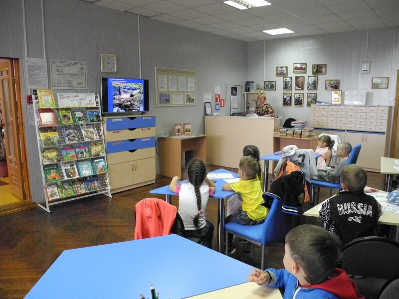 Kütüphaneler Библиотека села Белогорье, Amursk Bölgesi, foto