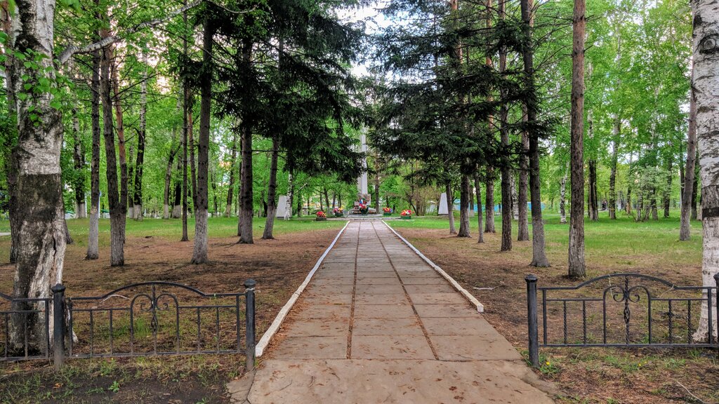 Kültür ve eğlence parkları Парк культуры и отдыха Амур, Yahudi Özerk Bölgesi, foto