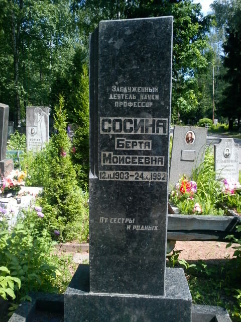 Anıt, heykel Заслуженному деятелю науки, профессору-рентгенологу Б.М. Сосиной, Minskaya oblastı, foto