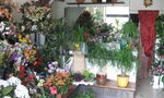 Casa del fiore (Emilia-Romagna, Parma, Via Parma, 54), çiçek teslimatı