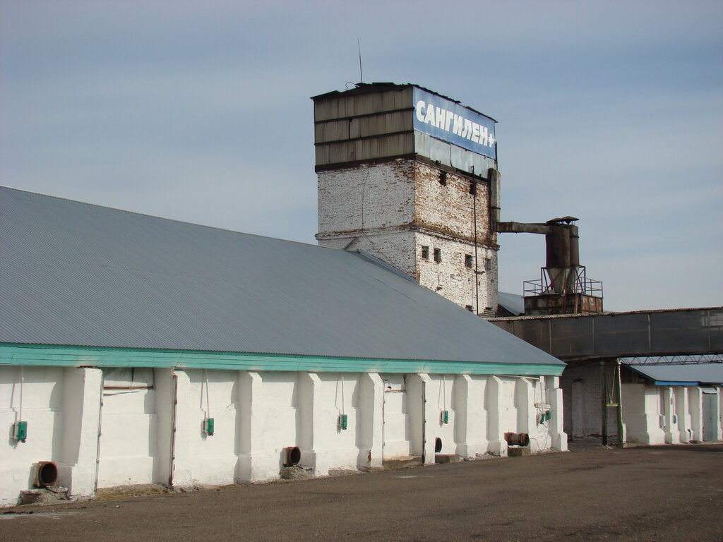 Silo Atamanovskoye Khlebopriyemnoye predpriyatiye, Krasnoyarski krayı, foto