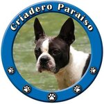 Paraíso Rionegro Breeding (Antioquia, Municipio de Rionegro), evcil hayvan yetiştiricileri