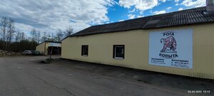 Magazin Avtozapchasti (ulitsa V. Margo No:58А), otomobil servisi  Sebezh'ten
