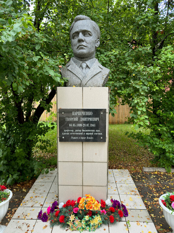 Anıt, heykel Г.Д. Карпеченко, Velsk, foto