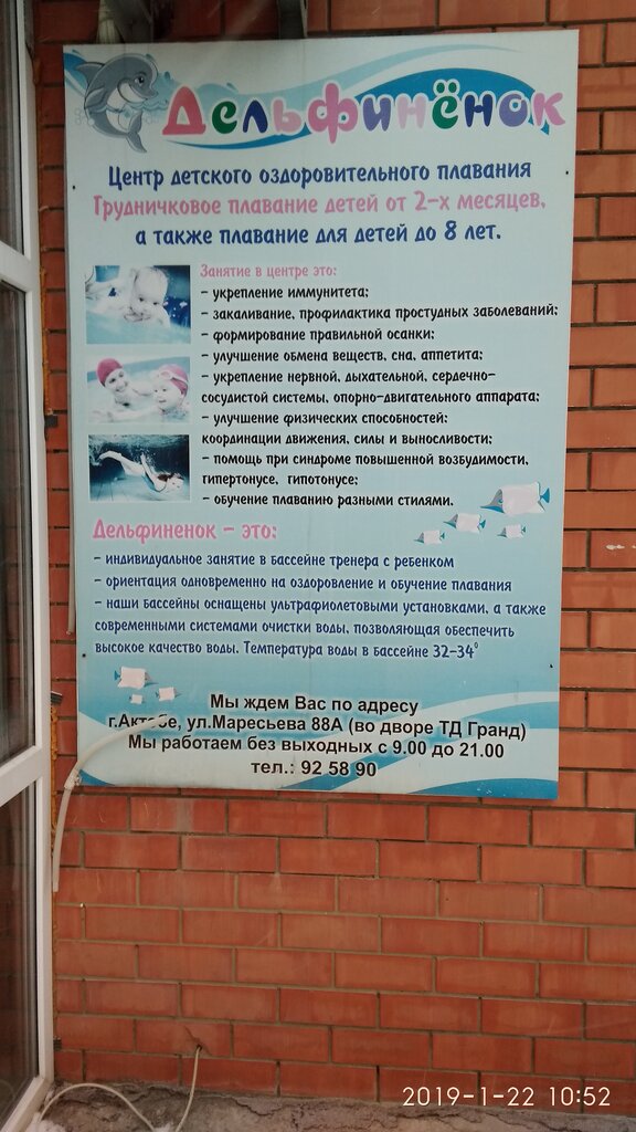 Yüzme havuzları Дельфиненок, Aktöbe, foto