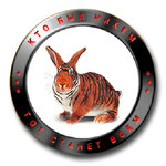 Zeobr - web studio (Zelyoniy Lane No:20, Tsentralniy Microdistrict), web tasarım hizmetleri  Soçi'den