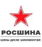 RosshinaRF (Yuryevskaya ulitsa No:1/2), jant ve lastikçiler  Vladimir'den