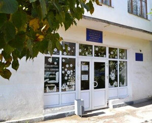 Tsentralnaya Rayonnaya biblioteka (ulitsa Spartaka No:7), kütüphaneler  Ostrov'dan