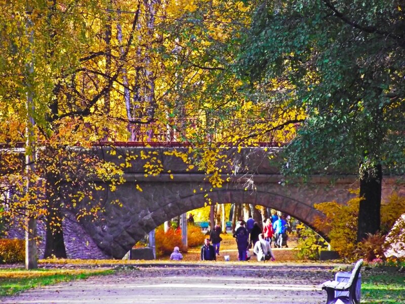 Parklar ve ormanlar Udelny Park, Saint‑Petersburg, foto
