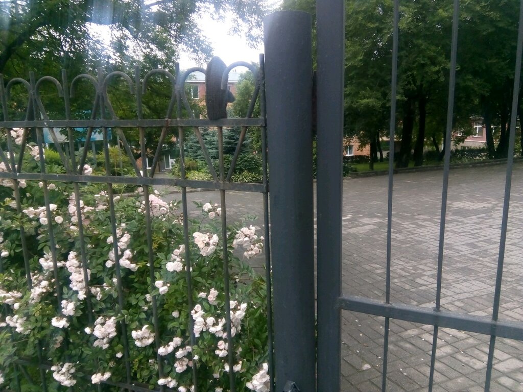 Çok amaçlı spor tesisleri Фитнес-тренер, Vladivostok, foto