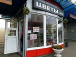 Цветы.рф (Kursk, Dzerzhinsky Street), çiçekçiler  Kursk'tan