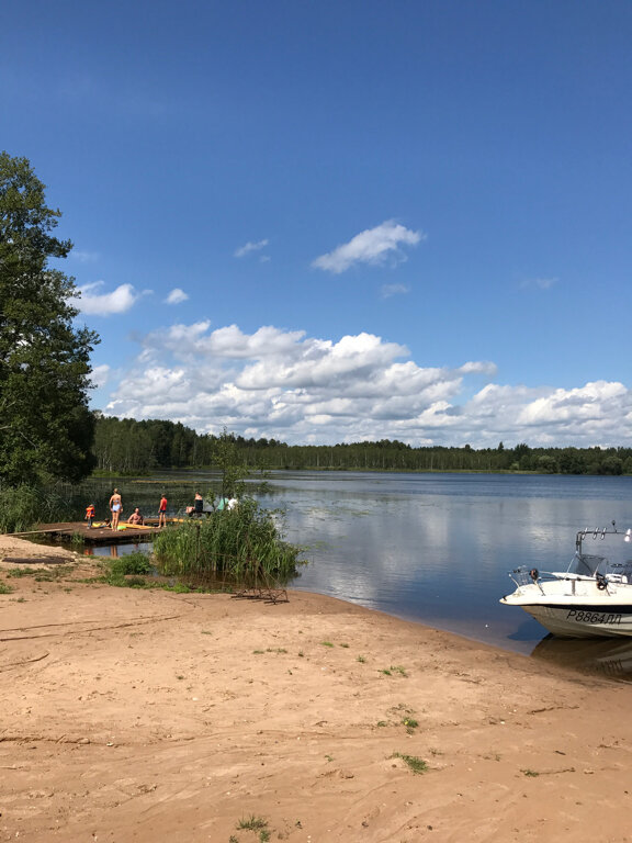 Piknik alanı Площадка для палатки, Pskovskaya oblastı, foto