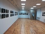 Музейно-выставочный центр (ulitsa Chernyshevskogo No:38), sergi salonu  Elektrostal'den