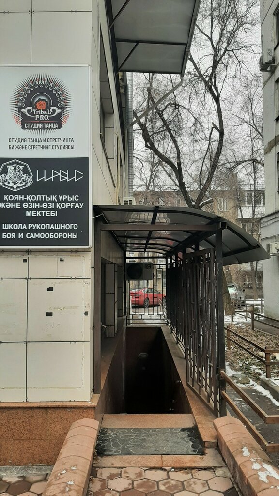 Spor kulüpleri Irbis, Almatı, foto