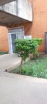 Parasitology Bacteriology (Lusaka, Prospect Hill), tıbbi laboratuvarlar  Lusaka'dan