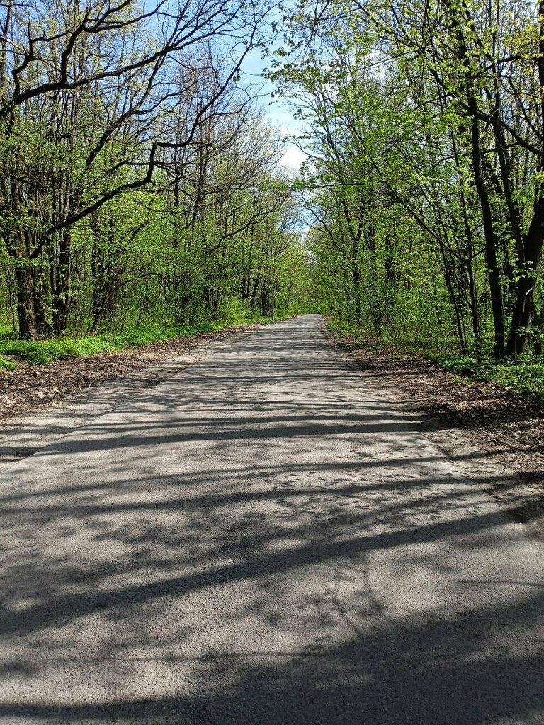 Doğa koruma alanı заказник Черемошное, Belgorodskaya oblastı, foto