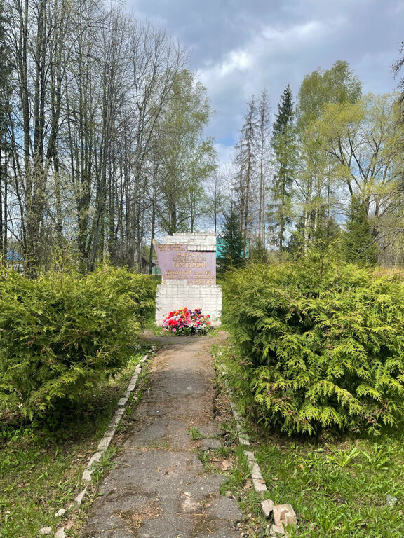 Anıt, heykel Погибшим воинам, партизанам и выпускникам школы, Novgorodskaya oblastı, foto