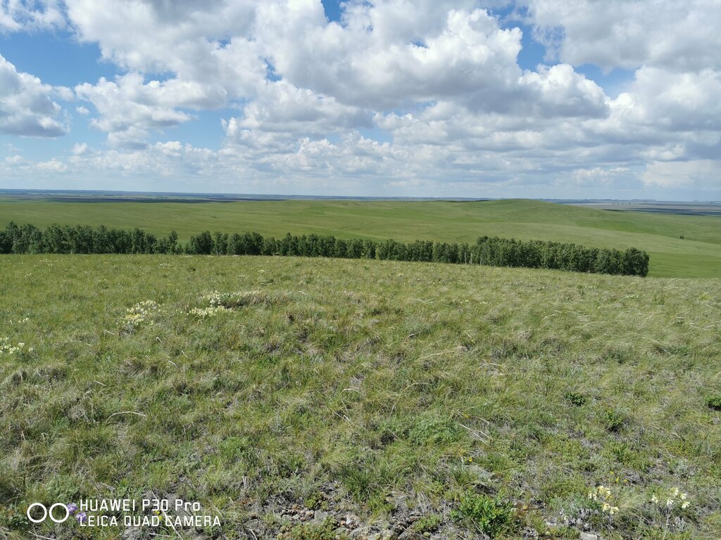 Dağ zirvesi Гора Тумачка 380 метров, Çeliabinskaya oblastı, foto