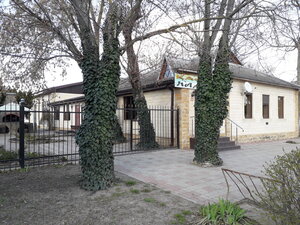 Платан (Sovetskaya ulitsa No:78А, stanitsa Staronizhestebliyevskaya), kafe  Krasnodarski krayından