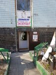 Аквамарин (Lenina Avenue No:121), petshop  Kemerovo'dan