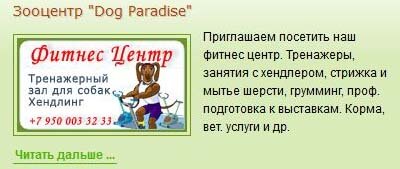 Evcil hayvan yetiştiricileri Pitomnik Faiter, Saint‑Petersburg, foto