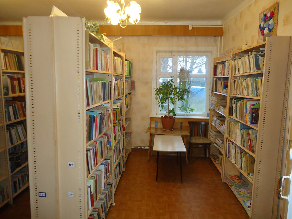 Kütüphaneler Беловский библиотечный сельский филиал, Vologodskaya oblastı, foto