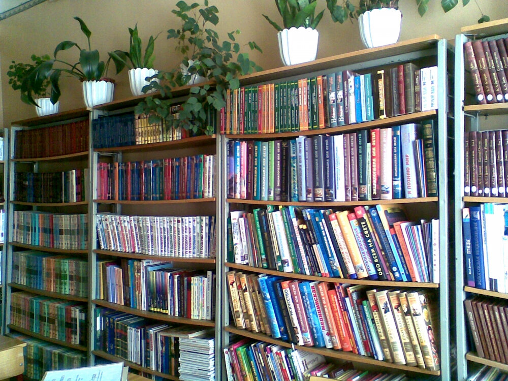 Kütüphaneler Глушицкая библиотека-филиал, Samarskaya oblastı, foto