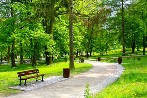 Парк культуры и отдыха п. Локоть (Krasnoarmeyskaya ulitsa No:6, rabochiy posyolok Lokot), kültür ve eğlence parkları  Brianskaya oblastından
