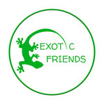 Exotic Friends (gorodskoy okrug Ivanovo, Sovetskiy District, Vokzalnaya Square, 7), teraryumlar  İvanovo'dan