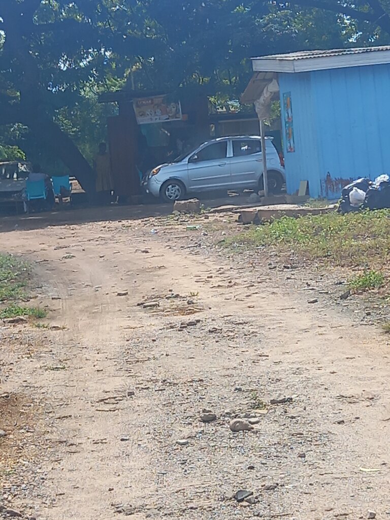 Manikür-pedikür Lynak, Dünya, foto