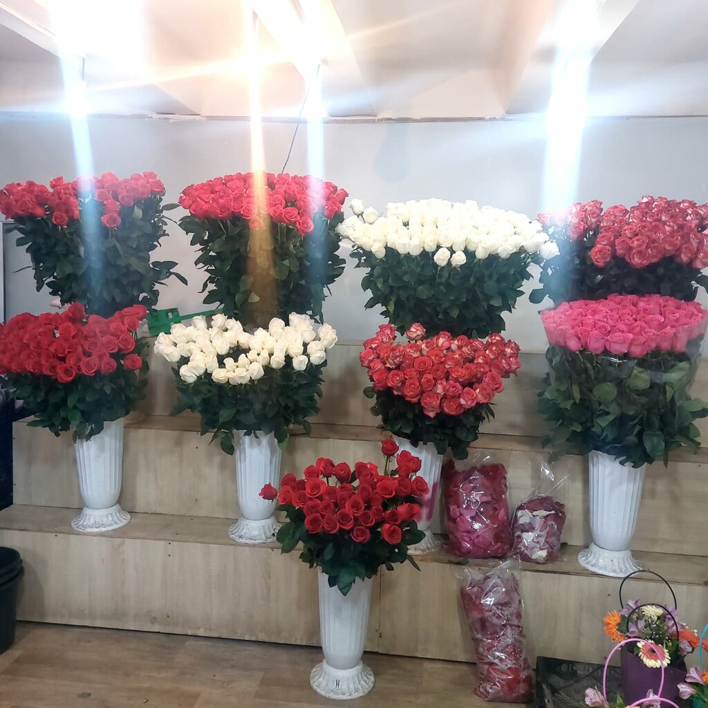 Çiçekçiler Gulder, Atırav, foto