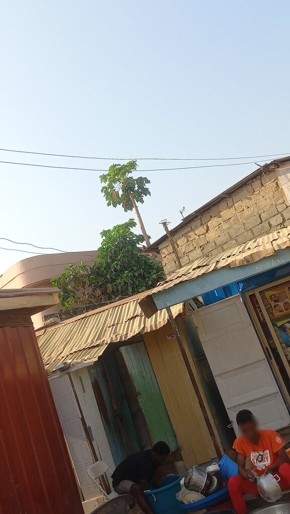 Berberler Trinity barbering shop, Dünya, foto