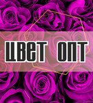 CvetOpt (Pobedy Avenue No:134А), çiçekçiler  Cherepovets'ten