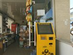 Kapitalbank, Payment Terminal (Tashkent, Lutfiy Street), ödeme terminali  Taşkent'ten