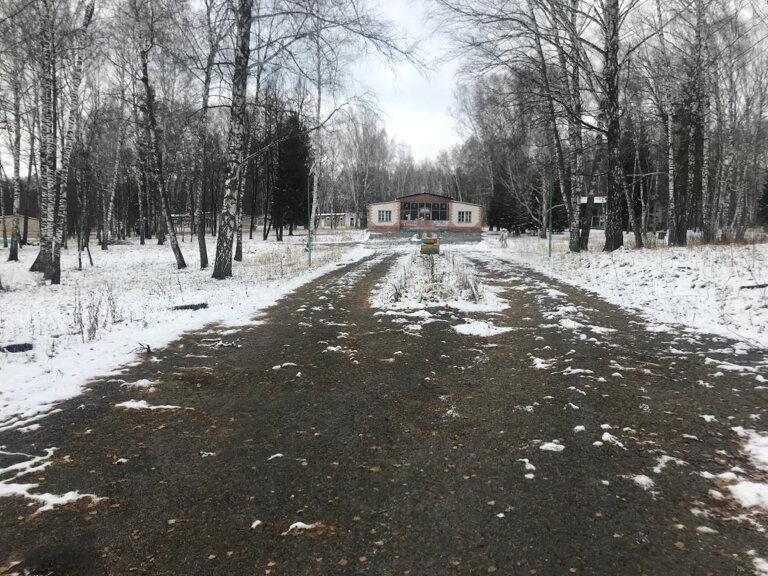 Yaz kampı Детский лагерь отдыха Зеленая поляна, Novosibirskaya oblastı, foto