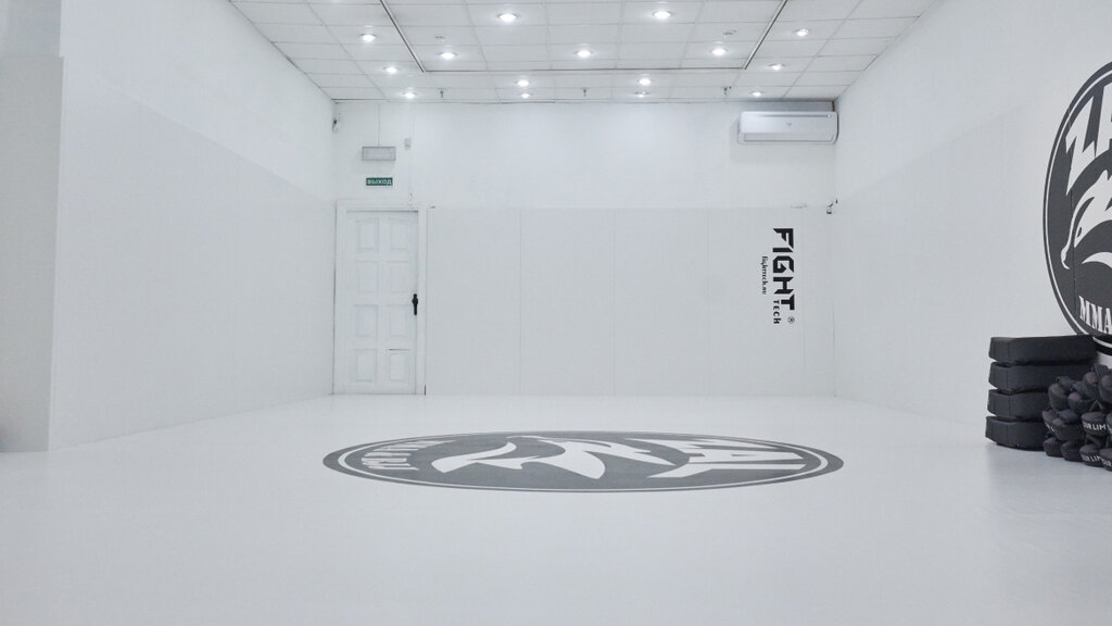 Spor kulüpleri Mixed Martial Arts School Zal Bjj Mma, Moskova, foto