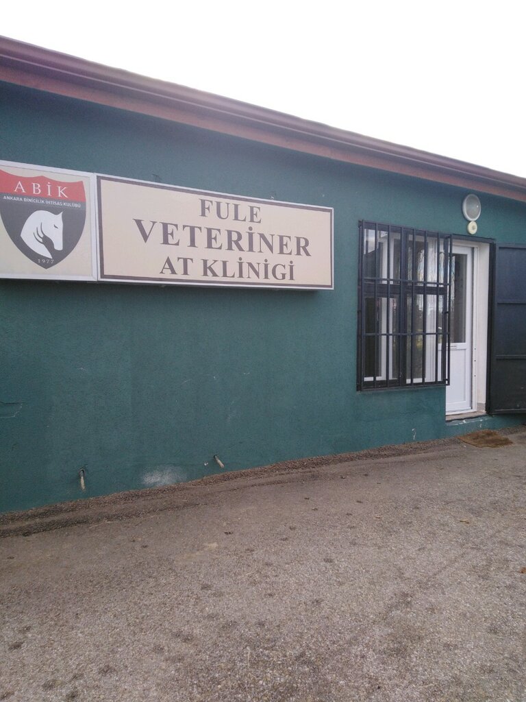 Veteriner klinikleri Fule Veteriner At Kliniği, Ankara, foto