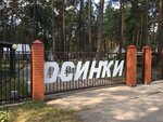 Osinki (Lipetsk Region, Gryazinskiy rayon, Yarlukovskiy selsovet, territoriya Leninskiy Leskhoz, ulitsa 79-y Kvartal), resort oteller, tesisler  Lipetskaya oblastından