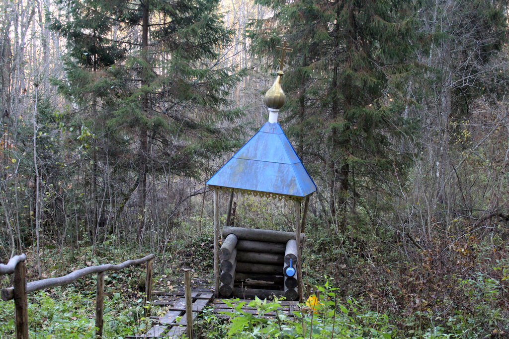 Dağ zirvesi Гора святой Марии, Yaroslavskaya oblastı, foto