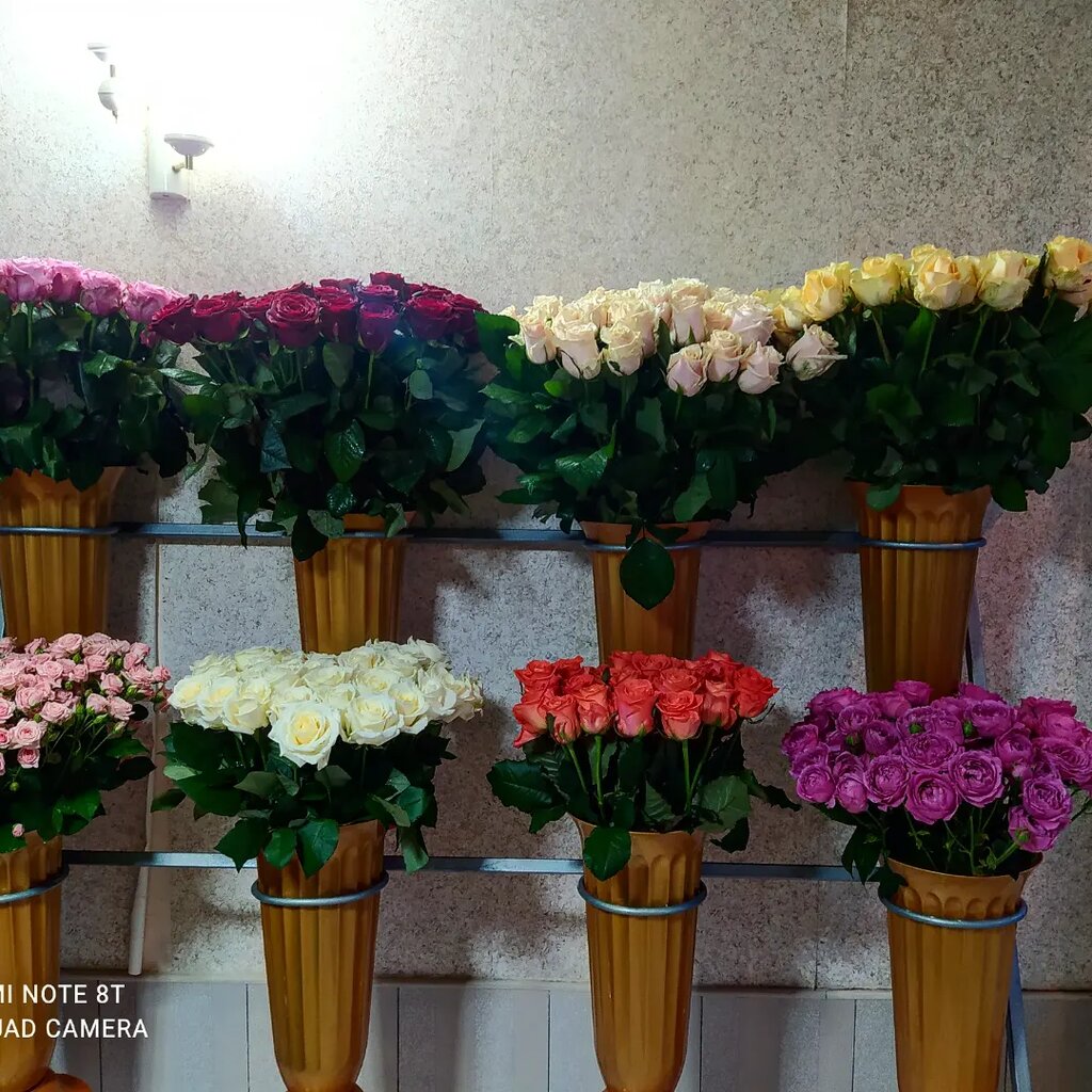 Çiçekçiler Галерея Цветов, Suhum, foto