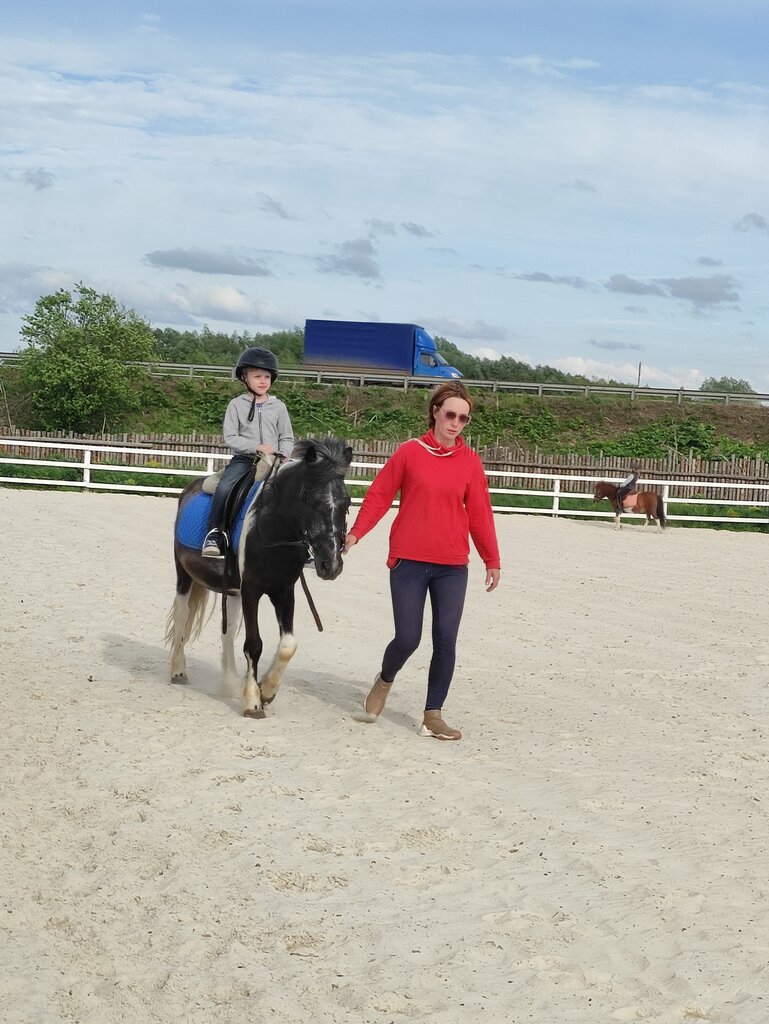 At ve binicilik kulüpleri Конный клуб Зеленая Слобода, Vladimirskaya oblastı, foto