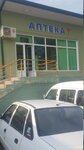 Pharmacy (Namangan, 7-kichik tumani), eczaneler  Nemengan'dan