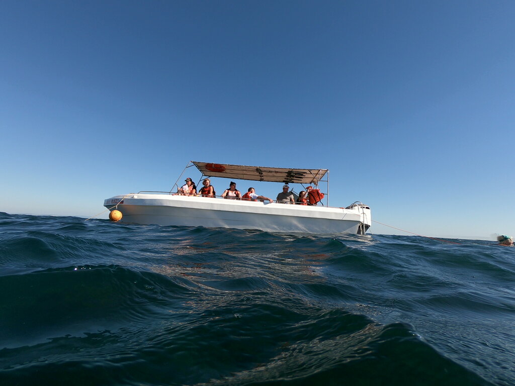 Geziler Boat Trips Sea Cat, Krasnodarski krayı, foto