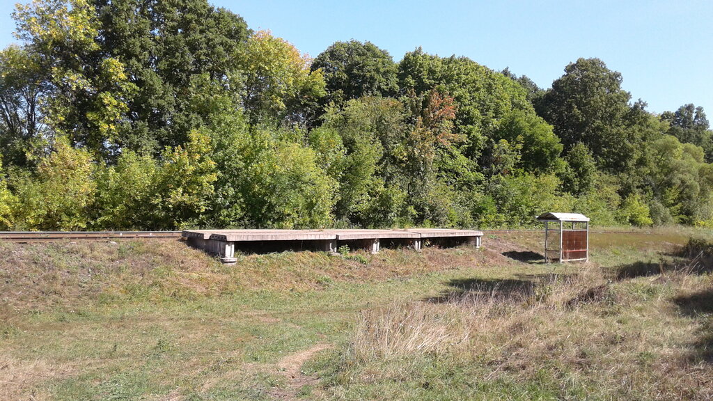 Yük istasyonu Zorino, Kurskaya oblastı, foto